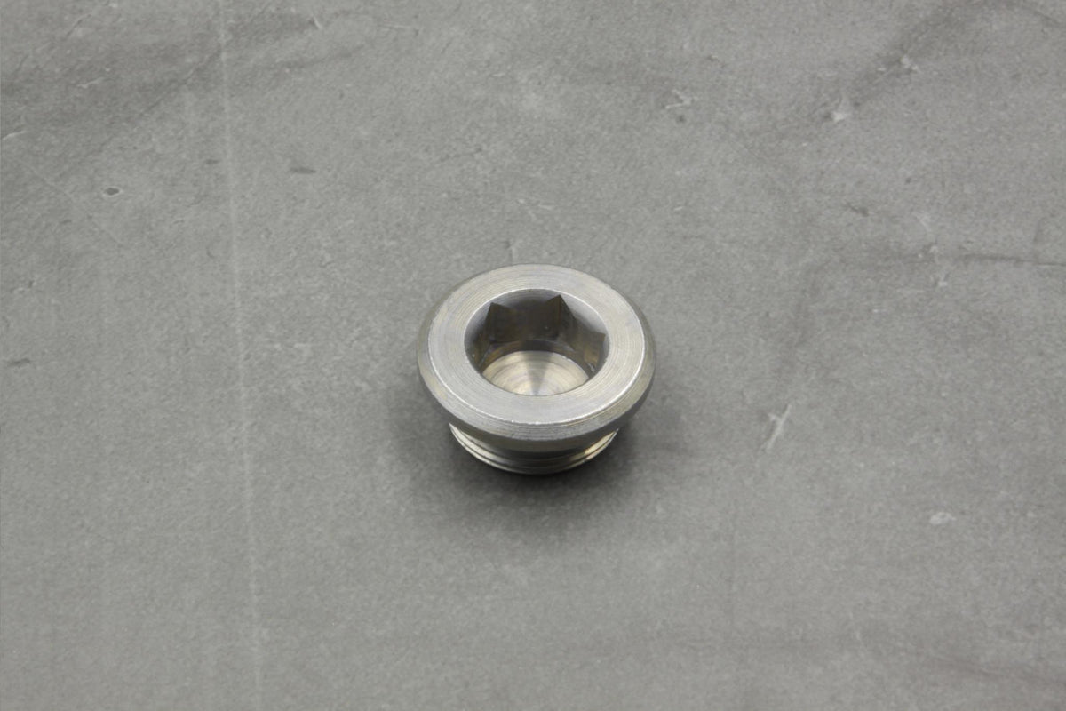 Differential Drain Plug M22 x 1.5 - 33117525064 – Bavarian Speed Shop